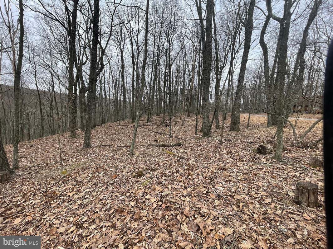 125 SPRING MOUNTAIN DR, ZION GROVE, PA 17985 | RE/MAX