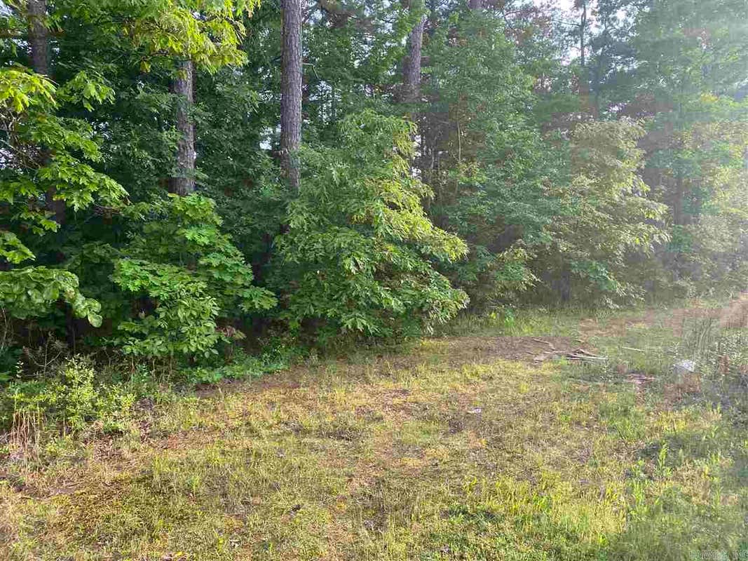 00 W DAVID O DODD, LITTLE ROCK, AR 72204 | RE/MAX