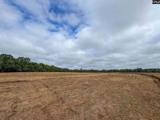 0 JOHNSON KING ROAD # LOT 2, SWANSEA, SC 29160 | RE/MAX