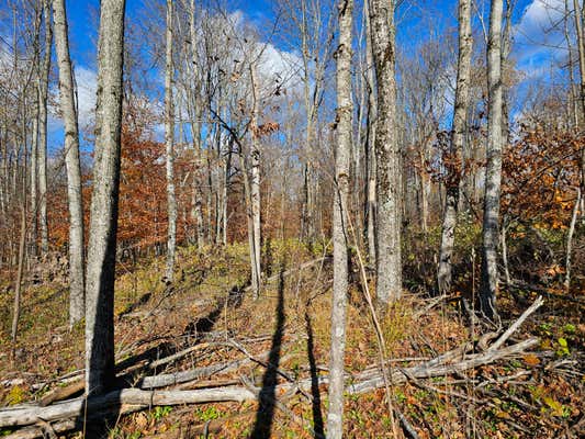 pARCEL B NORTH ROAD, CURTIS, MI 49820 | REMAX