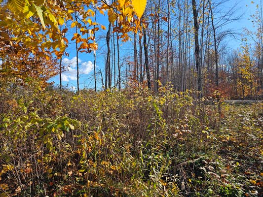 pARCEL B NORTH ROAD, CURTIS, MI 49820 | REMAX
