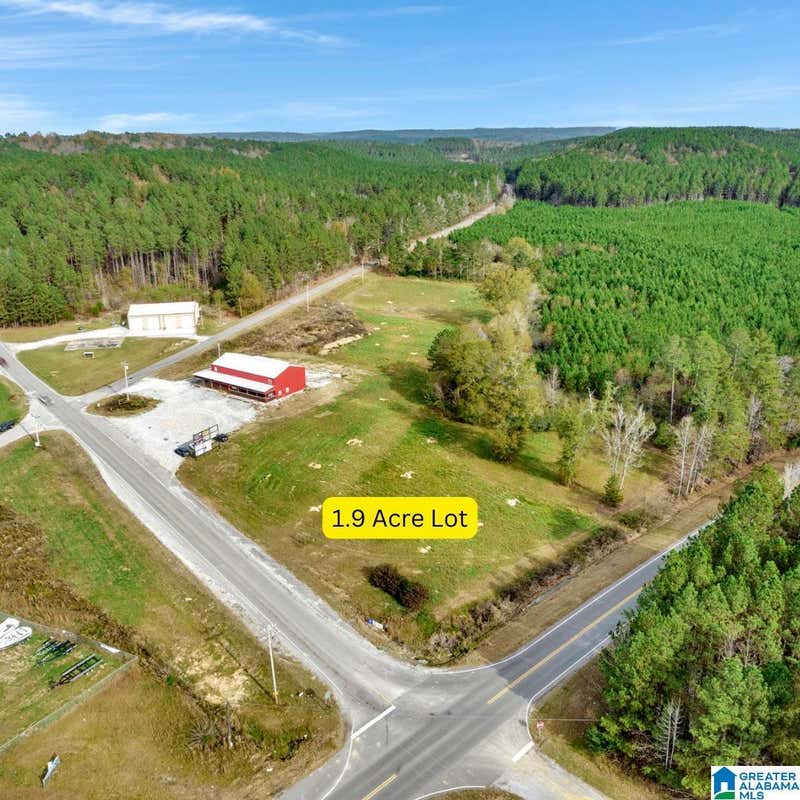 0 COUNTY ROAD 222, CULLMAN, AL 35057 Vacant Land For Sale | MLS ...