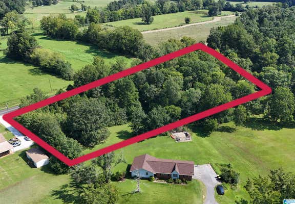 0 ODENA ROAD S # 1, SYLACAUGA, AL 35150 | REMAX