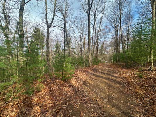 46 BEAR TRACK RD, GAP MILLS, WV 24941 | REMAX