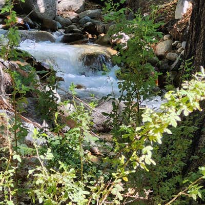 109 SEVEN PINES RD, INDEPENDENCE, CA 93526 | RE/MAX