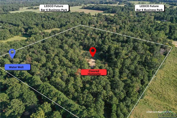 6950 PETER BONNER RD, HALLSVILLE, TX 75650 | RE/MAX