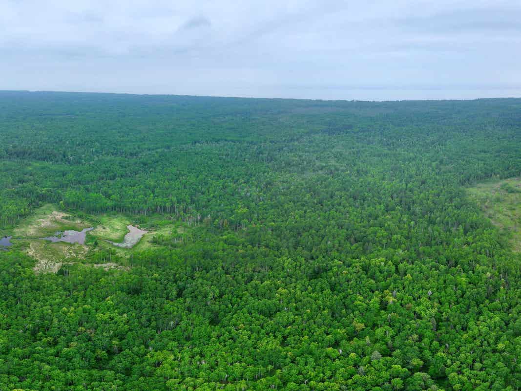 80 ACRES NEAR TAR PAPER ALLEY, ORIENTA, WI 54820 | RE/MAX