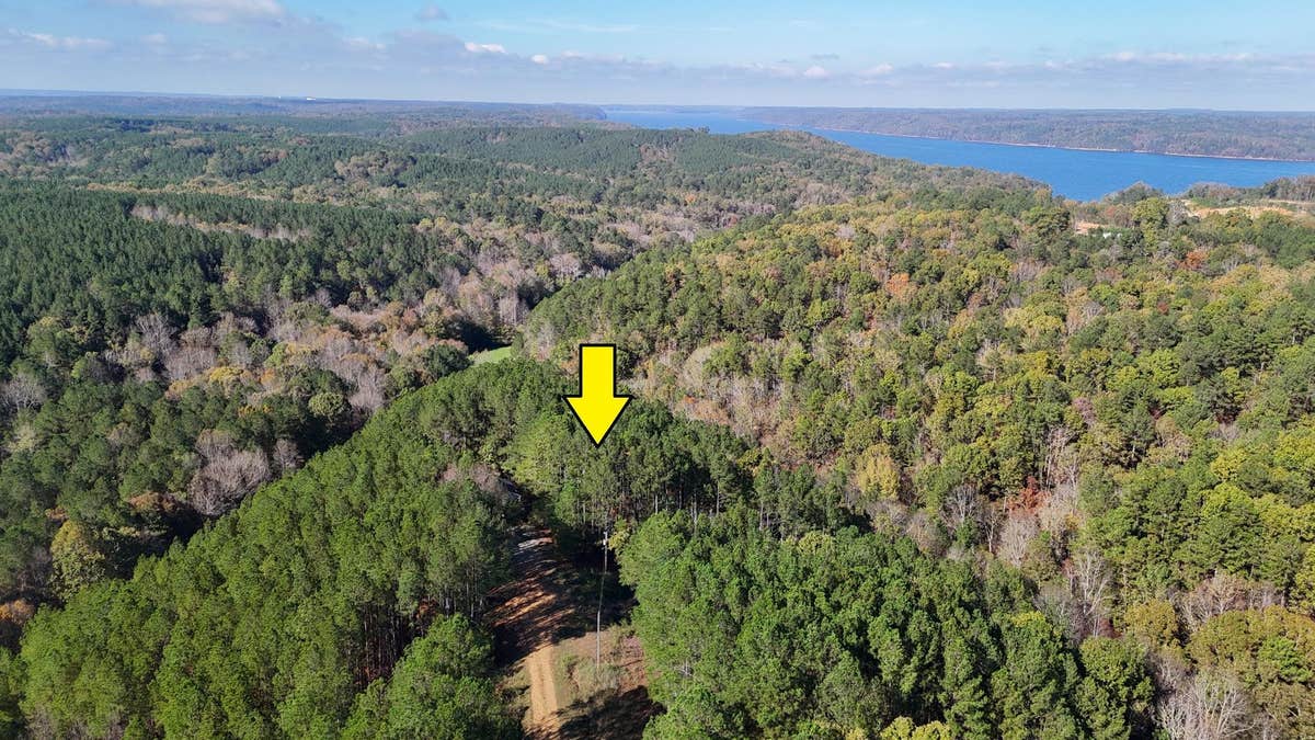 lOT 20 WOODLANDS OF RIVERTRACE RD, IUKA, MS 38852 Vacant Land For Sale ...