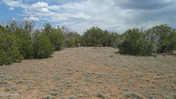 Concho, Homes For Sale | REMAX