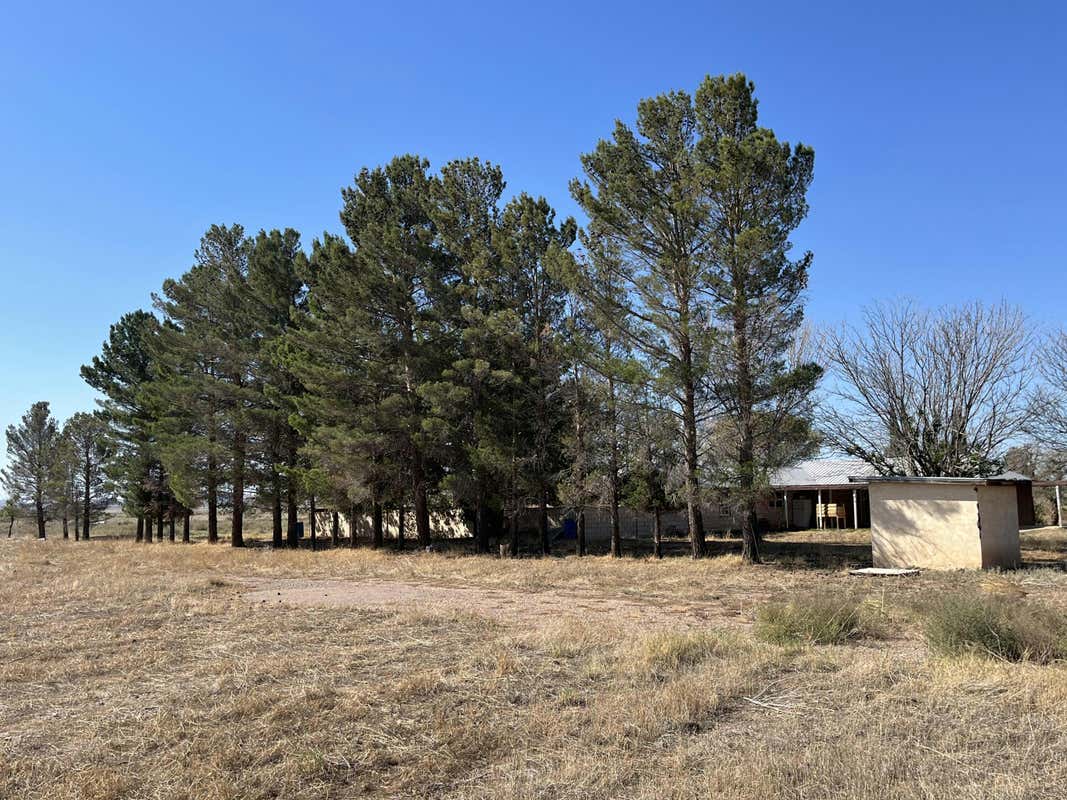 53 NINA RD, LORDSBURG, NM 88045 Farm For Sale | MLS# 1058940 | RE/MAX