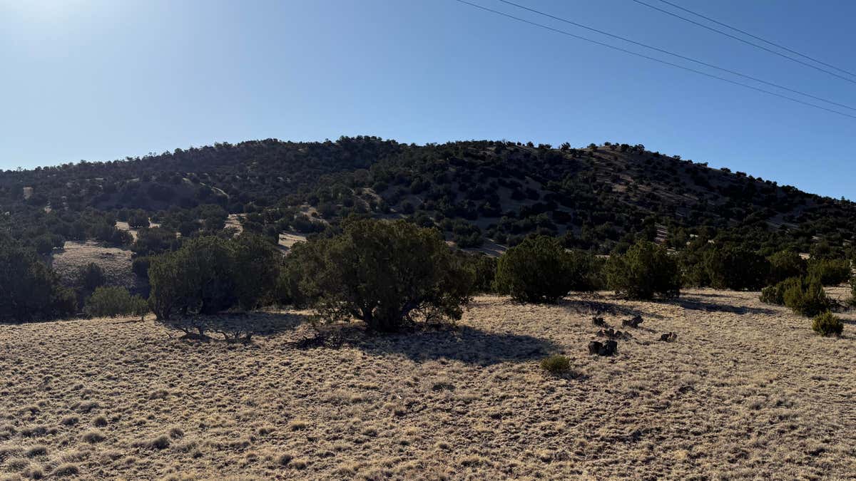 21 PINON SPRINGS RD, MAGDALENA, NM 87825 | RE/MAX
