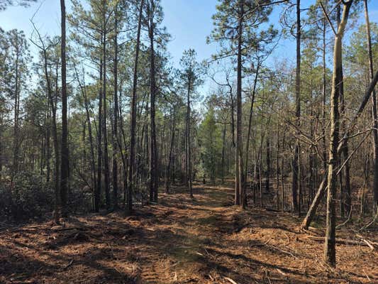 15.5A BERRY LANE, BEECH ISLAND, SC 29842 | REMAX
