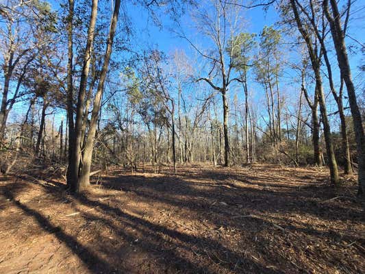 15.5A BERRY LANE, BEECH ISLAND, SC 29842 | REMAX