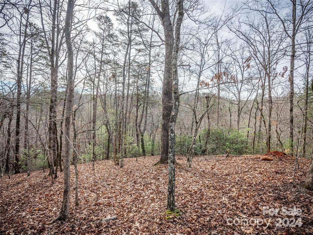 163 PHEASANT ST # 163, LAKE LURE, NC 28746 Vacant Land For Sale | MLS ...