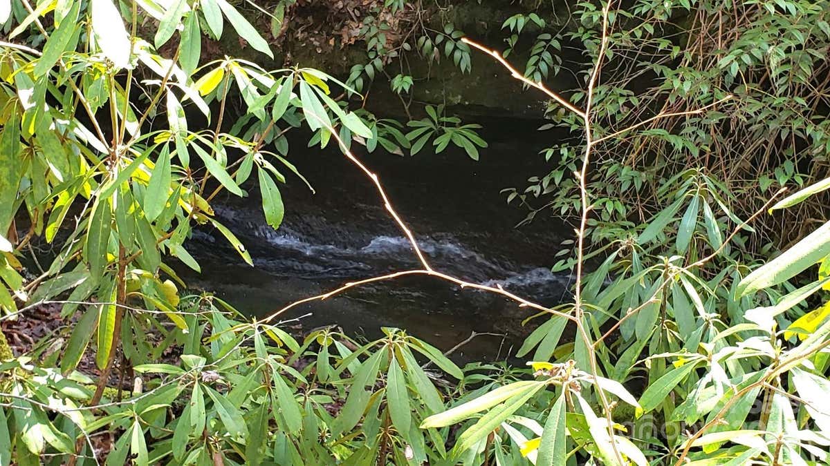 9999 POPLAR LANE # 505,506,507, BREVARD, NC 28712 | RE/MAX