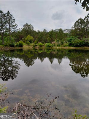 Folkston, Homes For Sale | REMAX