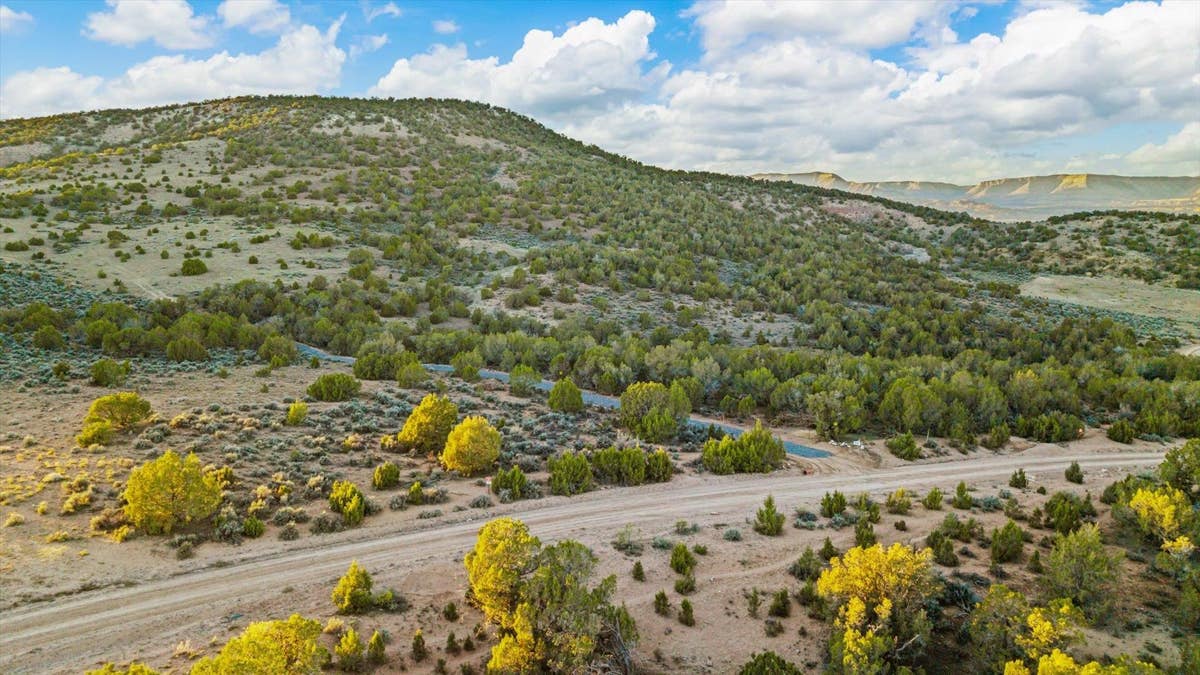 4546 HORSE CANYON RD, DE BEQUE, CO 81630 | RE/MAX