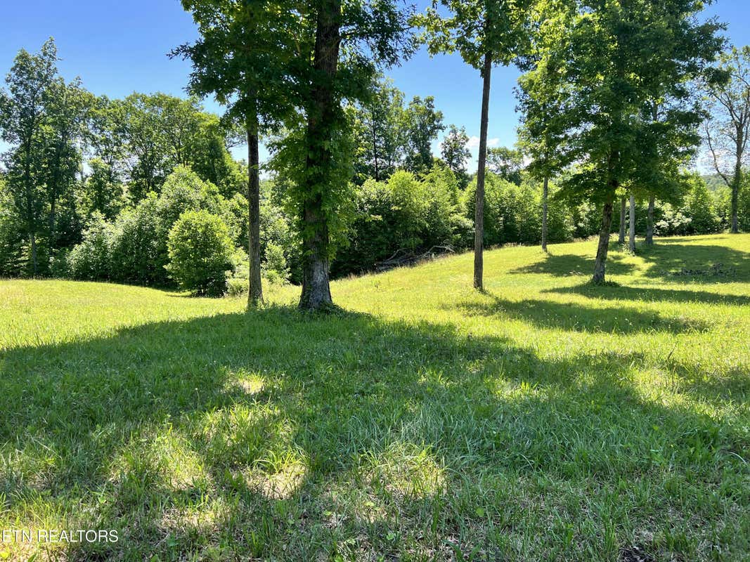 lOT 20 BLUFF VIEW LOOP, CROSSVILLE, TN 38571 Vacant Land For Sale | MLS ...
