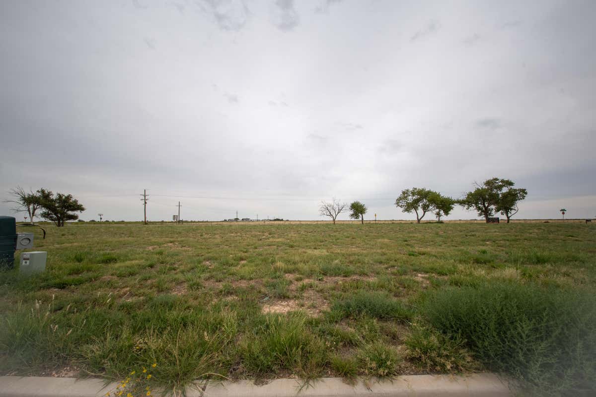 48 CARTER RANCH TRL, RANSOM CANYON, TX 79366 | RE/MAX