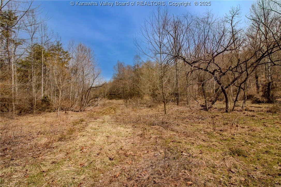 0 EVANSVIEW ROAD, EVANS, WV 25241 | RE/MAX