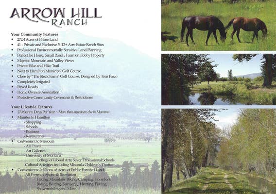 461 ARROW HILL RANCH RD, HAMILTON, MT 59840 | REMAX
