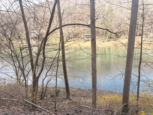 gREENBRIER DR, HINTON, WV 25951 | REMAX