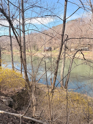 gREENBRIER DR, HINTON, WV 25951 | REMAX