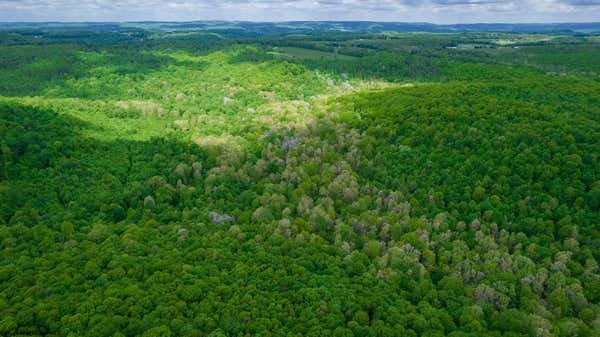 Kingwood, WV Homes For Sale & Real Estate | RE/MAX