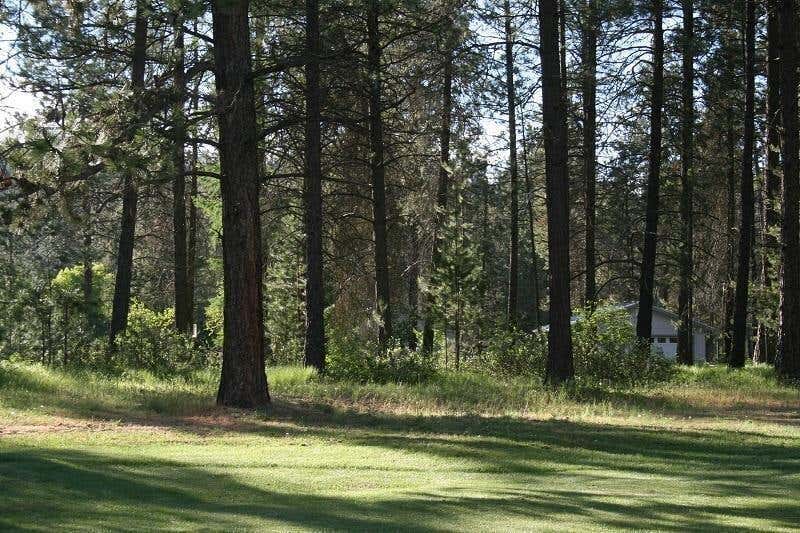 205 EAGLE DR, CHEWELAH, WA 99109 | RE/MAX