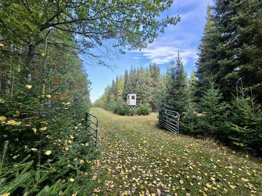 Pine River, MN Homes For Sale & Real Estate | RE/MAX