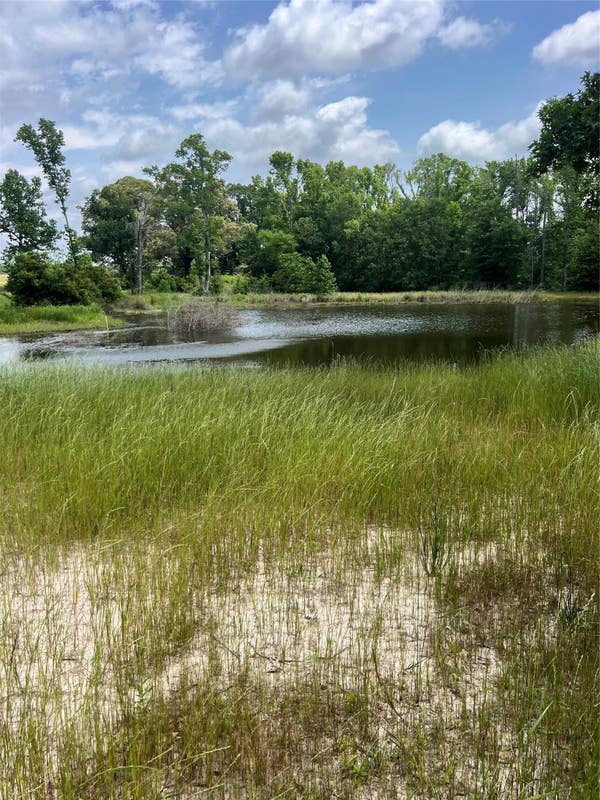 1095 COUNTY ROAD 3800, ATHENS, TX 75752 | RE/MAX