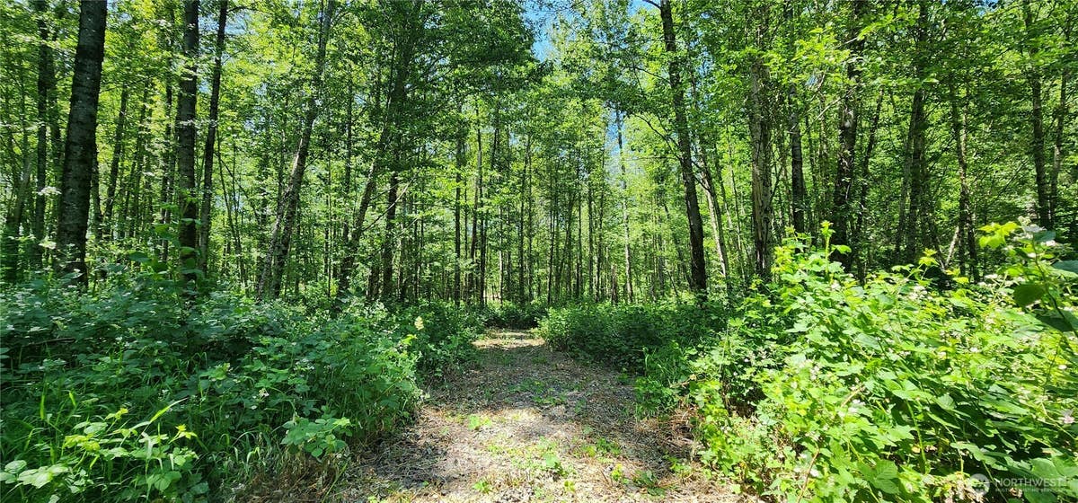 1230 SILVERBROOK RD, RANDLE, WA 98377 | RE/MAX