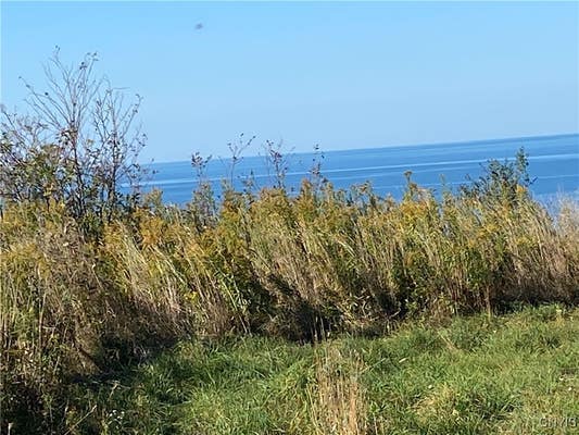 12795 SCOTT BLUFF DR, WOLCOTT, NY 14590 | REMAX