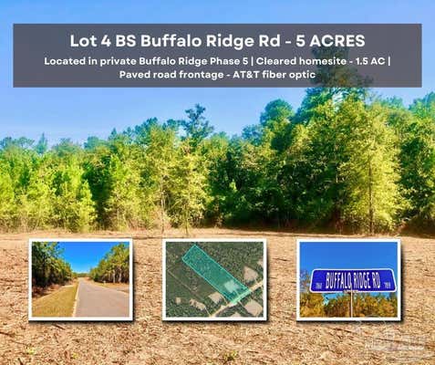 lOT 4 BS BUFFALO RIDGE RD, PACE, FL 32571 Vacant Land For Sale | MLS ...