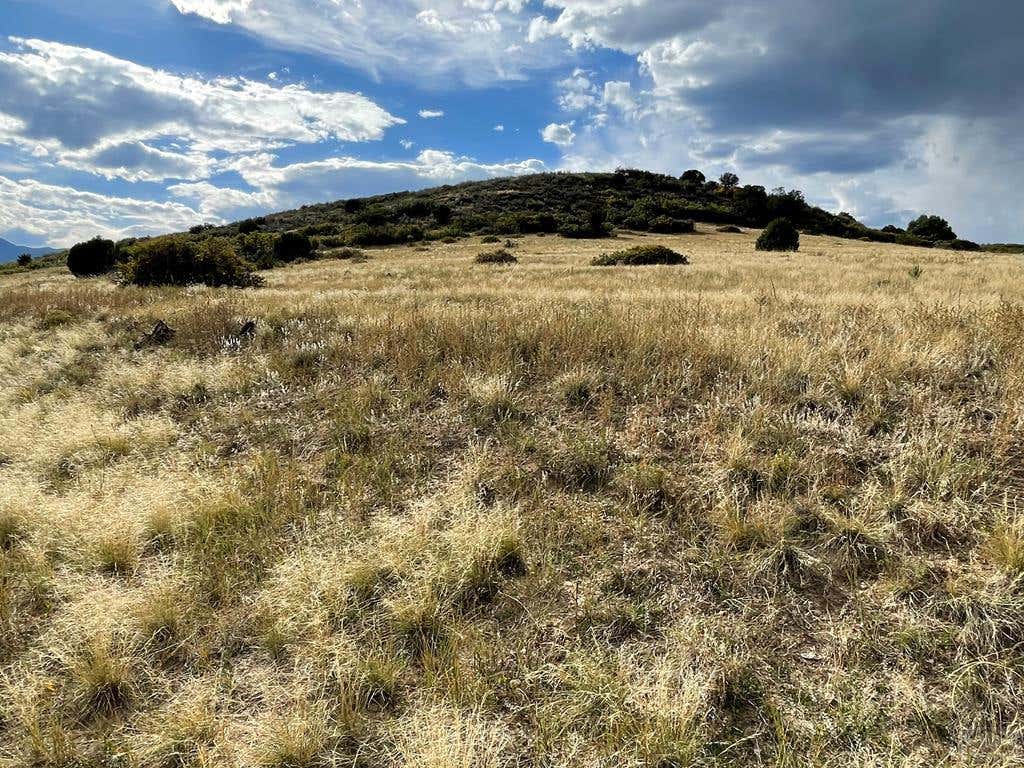 tBD ARDEN PLACE, COLORADO CITY, CO 81019 Vacant Land For Sale | MLS ...