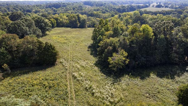 0 SHELTER BRANCH ROAD, CHARLOTTE, TN 37036 Vacant Land For Sale | MLS ...