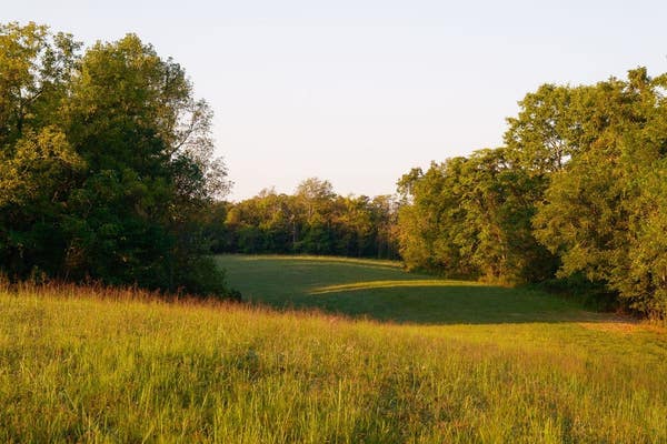 3685 MARTIN ERVIN RD, SANTA FE, TN 38482 | RE/MAX