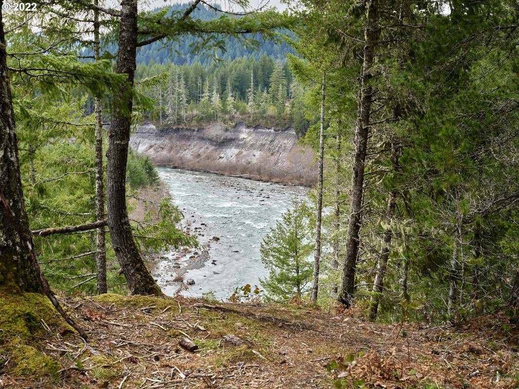 2 LAHAR LN, COUGAR, WA 98616 Single Family Residence For Sale | MLS ...