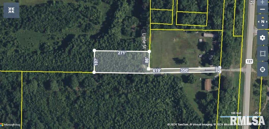 001 LITTLE STREET, TAMMS, IL 62988 Vacant Land For Sale | MLS# EB453416 ...