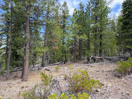 0 YELLOWJACKET SPRINGS RD, BEATTY, OR 97621 | RE/MAX