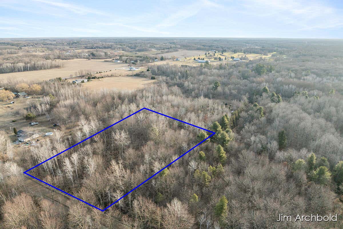 v/L S WISNER AVENUE, NEWAYGO, MI 49337 | RE/MAX