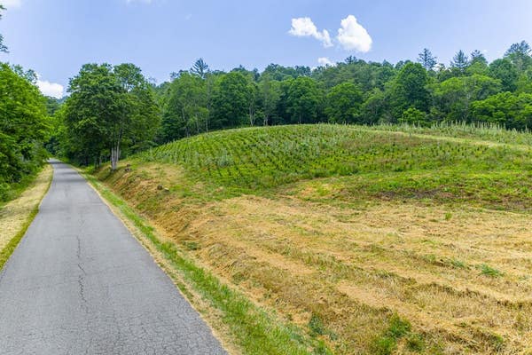 tBD BROOKGREEN RD, MOUTH OF WILSON, VA 24363 | RE/MAX tBD BROOKGREEN RD, MOUTH OF WILSON, VA 24363 | RE/MAX