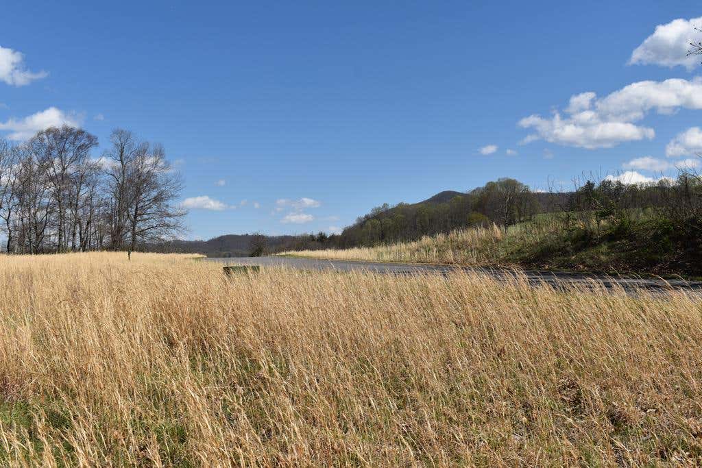 49 RIVER WALK LN, SPARTA, NC 28675 | RE/MAX