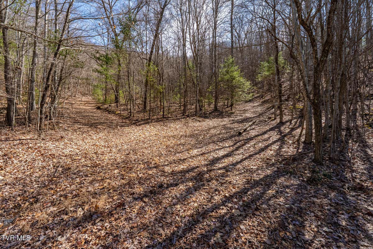 lOT 1,3,4 CALLALANTEE COURSE, MOUNTAIN CITY, TN 37683 | RE/MAX